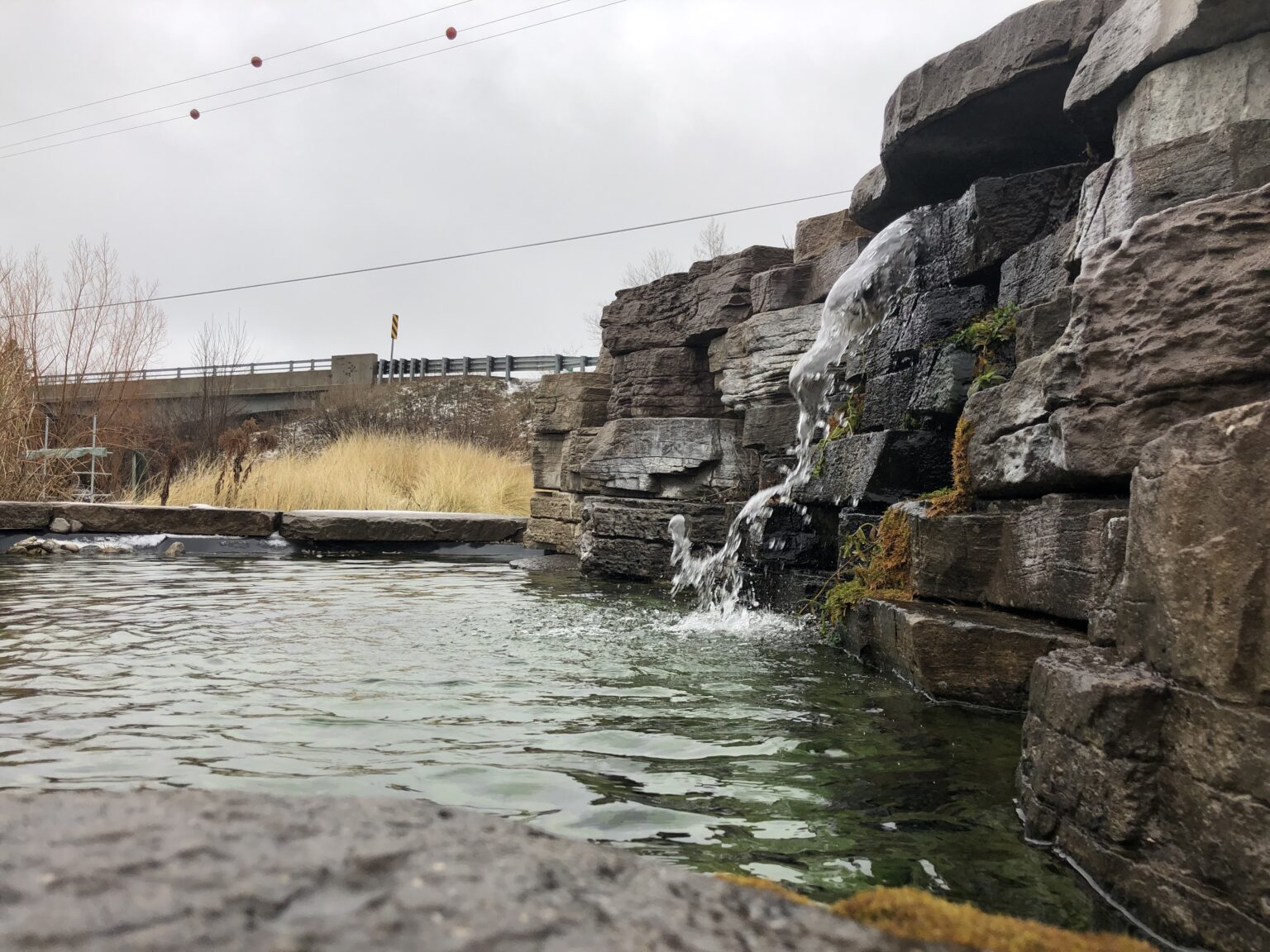 Artesian Springs RV Resort