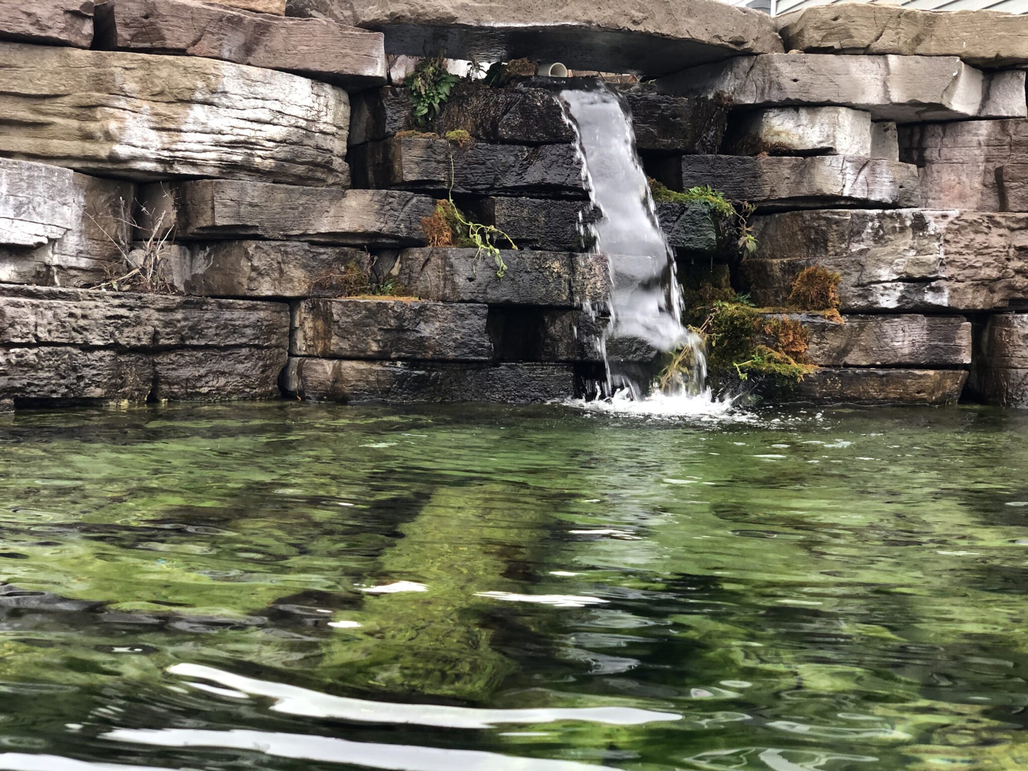 Artesian Springs RV Resort